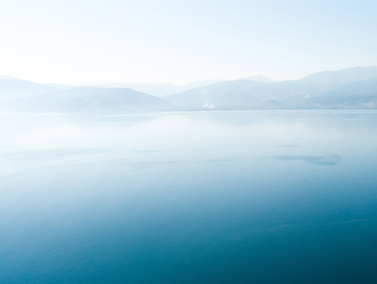 UP THE GARDEN PATH • Gemmap